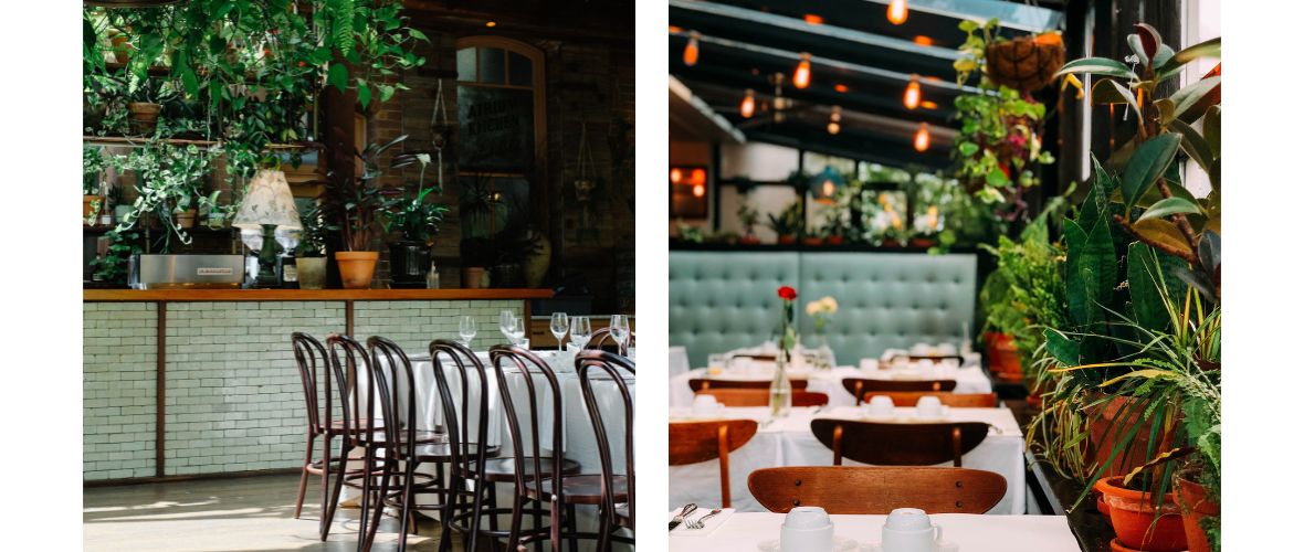 How to have an eco-responsible restaurant? | TRADIS