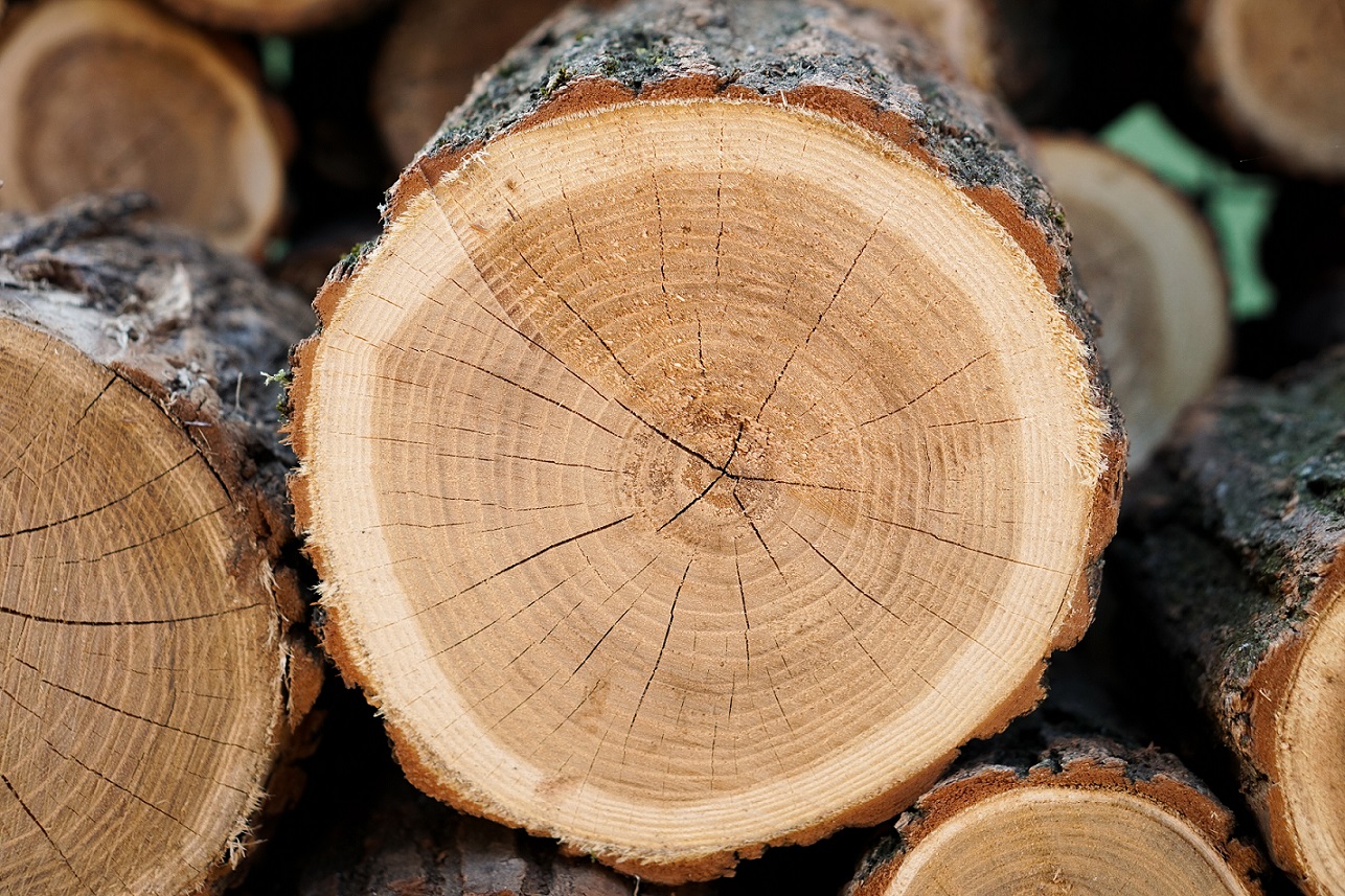 Choisir des meubles en pin pour votre boutique | TRADIS